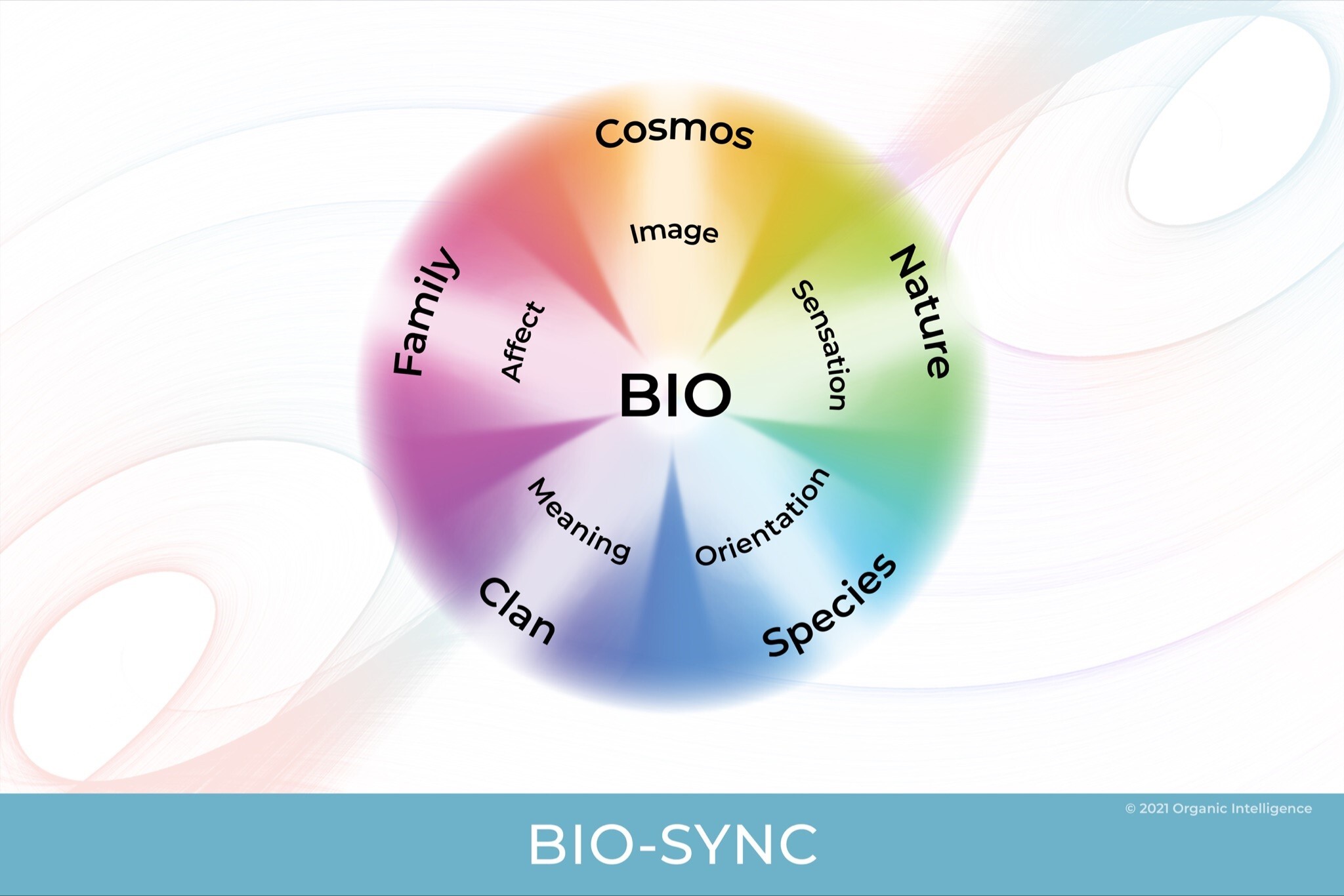 OI HEART Coach Program | Organic Intelligence | Trauma Safe